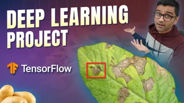 Data Analytics Online Course with Certificate | Codebasics