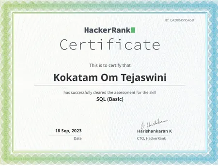 Portfolio - kokatam Om Tejaswini | Codebasics