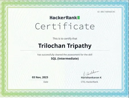 Portfolio - Trilochan Tripathy | Codebasics