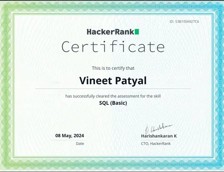 Portfolio - Vineet Patyal | Codebasics