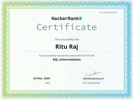 Portfolio - Ritu Raj | Codebasics