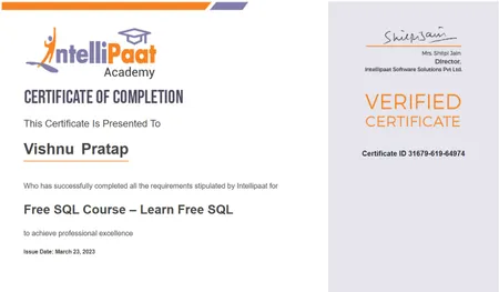 Portfolio - Vishnu Pratap Singh | Codebasics