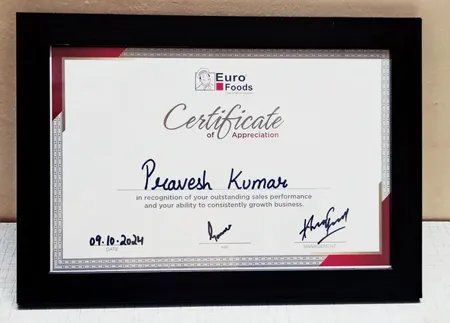 Portfolio - Pravesh Kumar | Codebasics