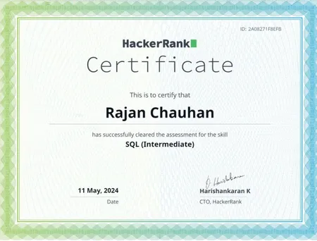 Portfolio - Rajan Chauhan | Codebasics