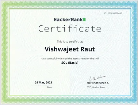 Portfolio - Vishwajeet Raut | Codebasics