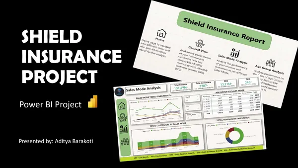Portfolio - Aditya Barakoti | Codebasics