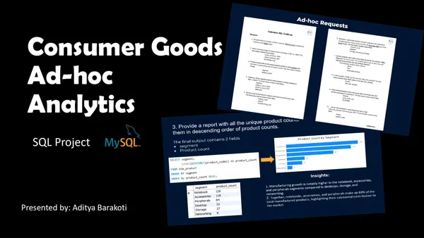 Portfolio - Aditya Barakoti | Codebasics