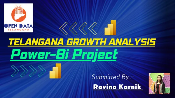 Portfolio Ravina Karnik Codebasics