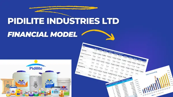 Portfolio - Ekta Rane | Codebasics