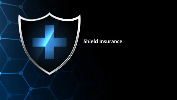 Portfolio - Sheldon Pais | Codebasics