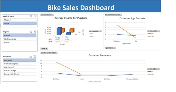 Portfolio - Armur Avinash | Codebasics