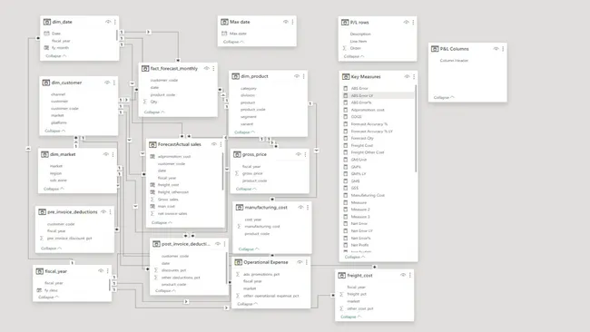Portfolio - Elza Shany | Codebasics