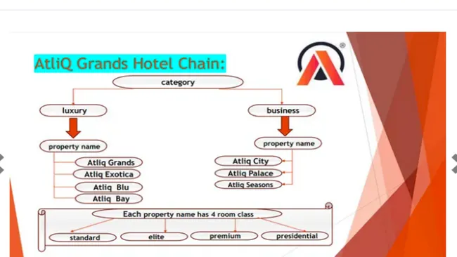 Portfolio - Ritu | Codebasics