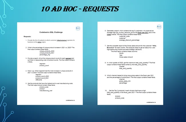 Portfolio - Sandra Dsouza | Codebasics