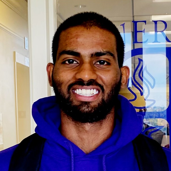 Portfolio - Sivananda Reddy Polakamma | Codebasics