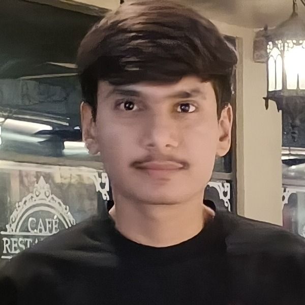 Portfolio Mohammed Zeeshan Codebasics