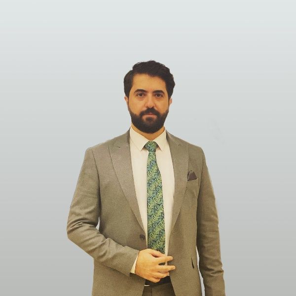 Portfolio - Shwan Rashid | Codebasics