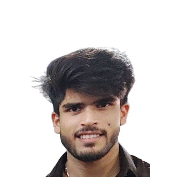 Portfolio - Harsh Chauhan | Codebasics